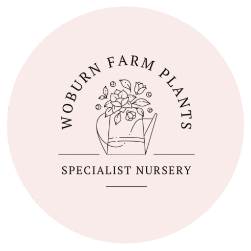 Woburn Farm Plants